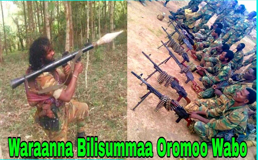 Walaloo Haadha Kutaa 1ffaa - STMORO.COM